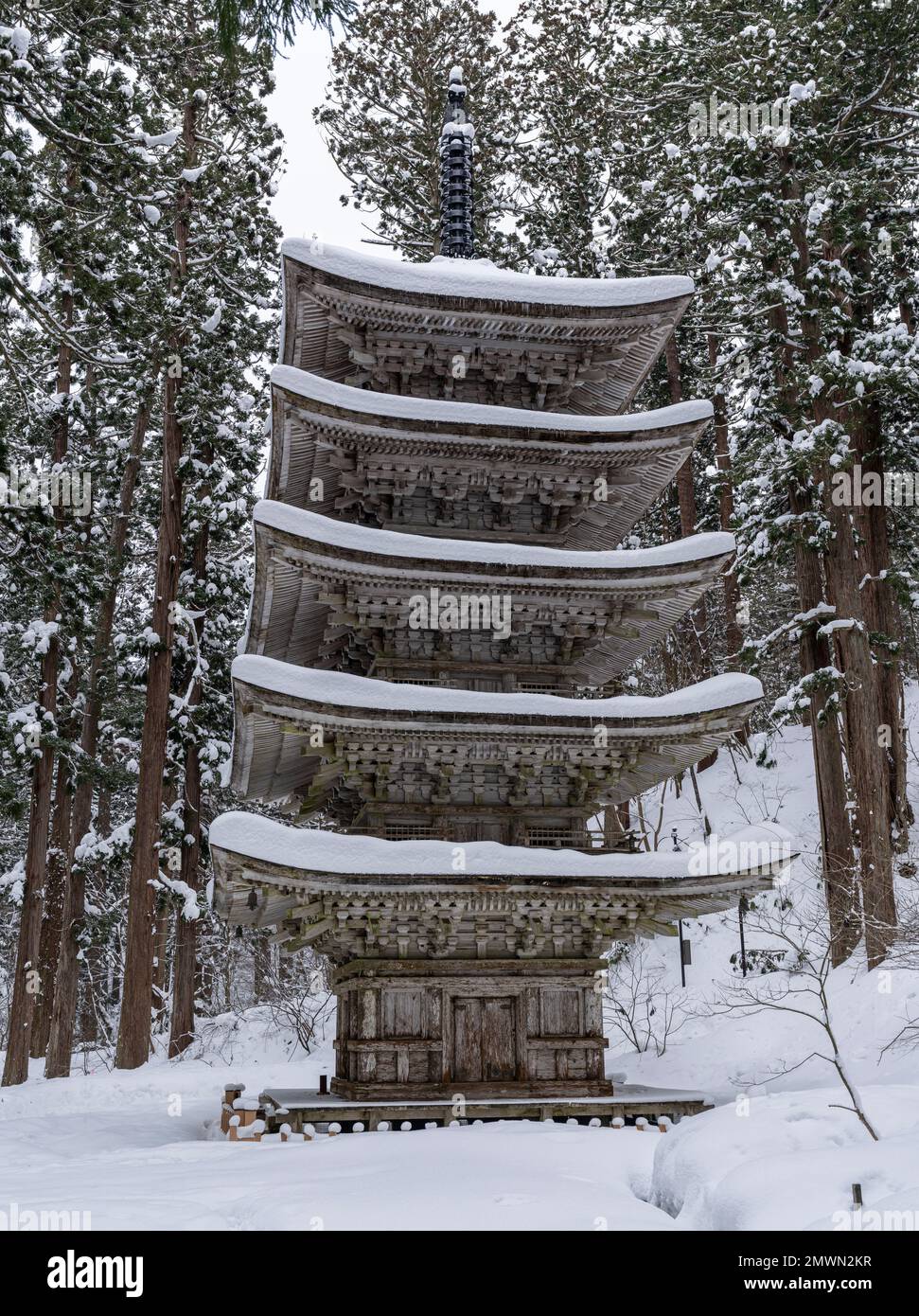 The five-storied pagoda in a forest of cedar trees with deep snow at ...
