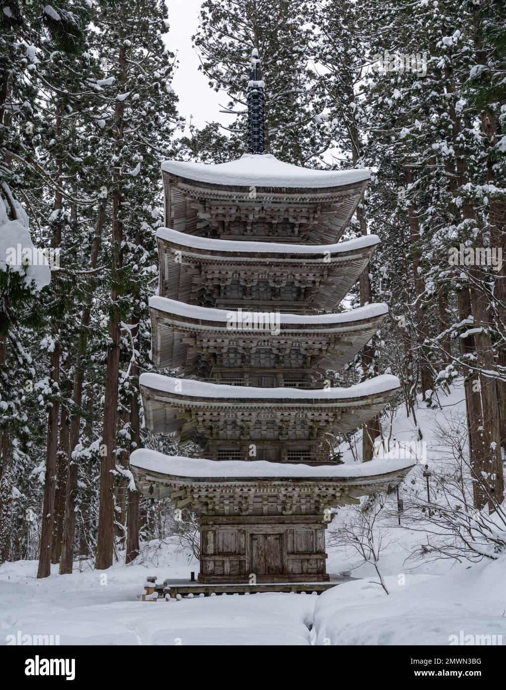 The five-storied pagoda in a forest of cedar trees with deep snow at ...