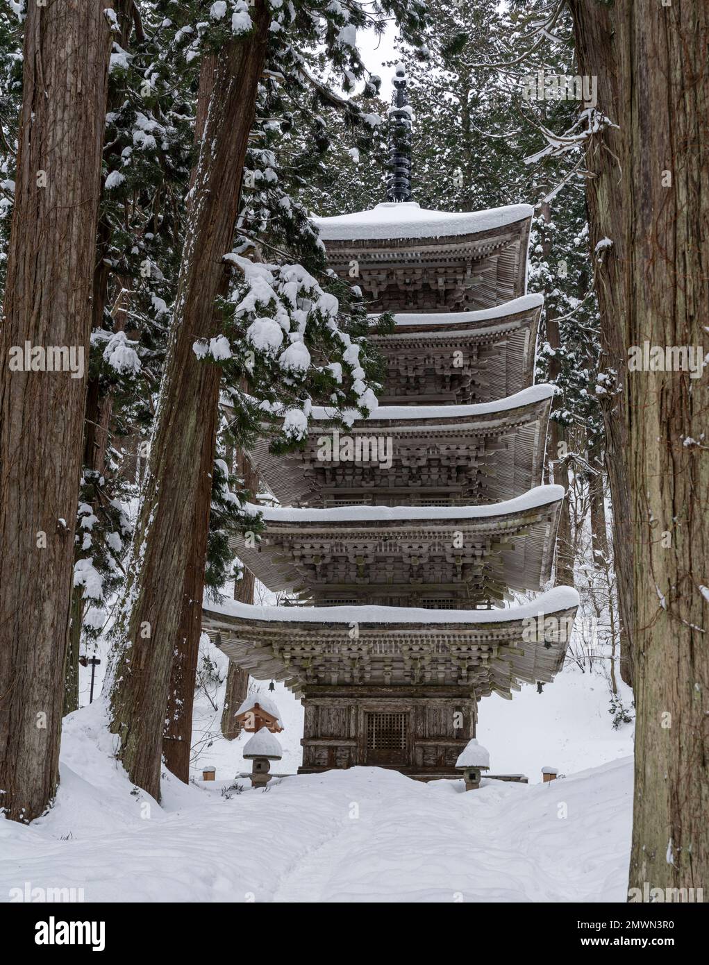 The five-storied pagoda in a forest of cedar trees with deep snow at ...
