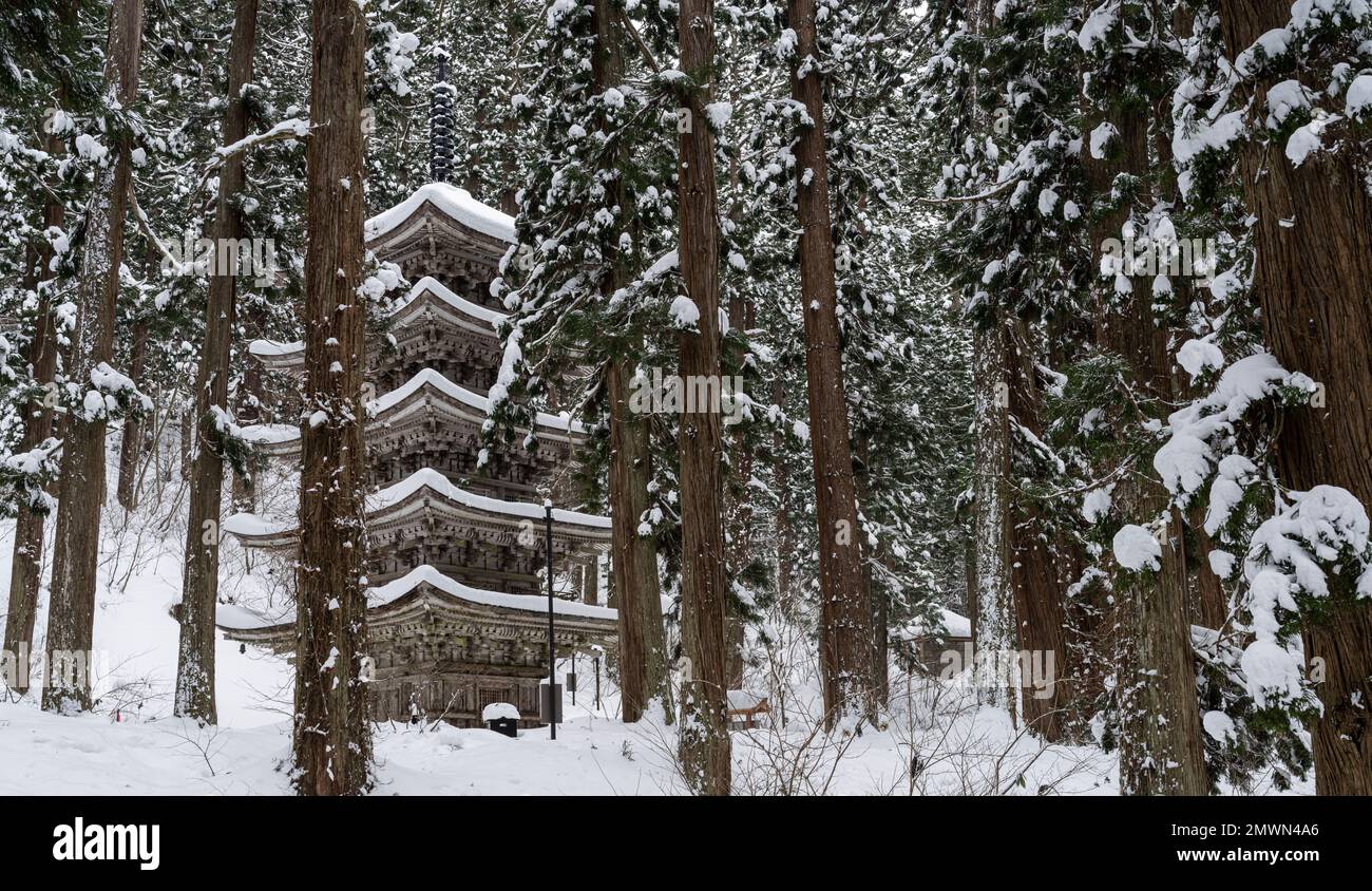 The five-storied pagoda in a forest of cedar trees with deep snow at ...