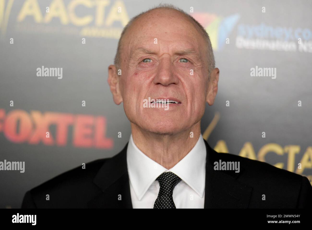 Alan Dale attends the 6th Annual AACTA International Awards held at ...