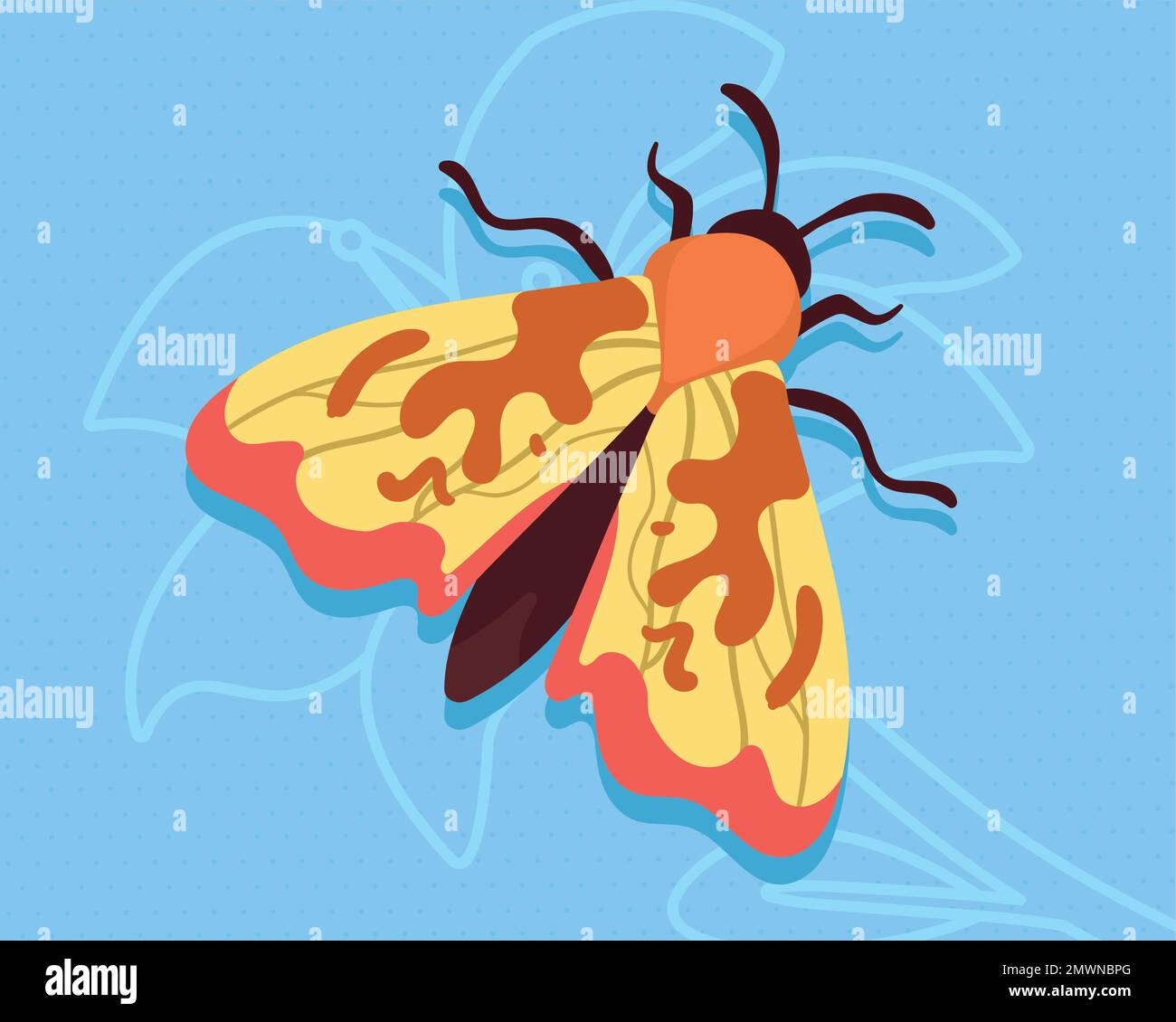 Domestic moth Stock Vector Images - Alamy