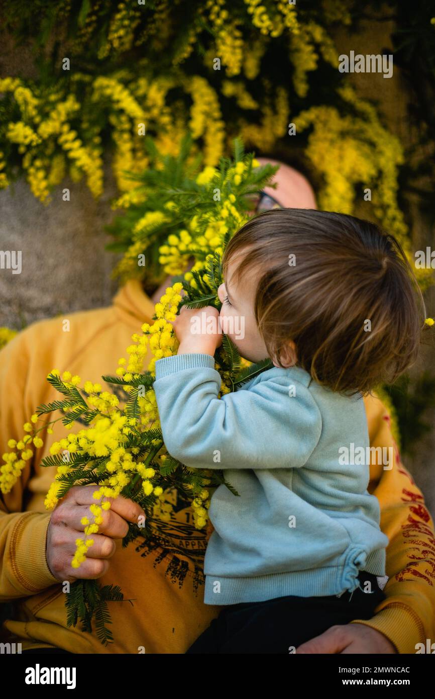 little girl sitting in arms of her father and trying to eat blooming ...