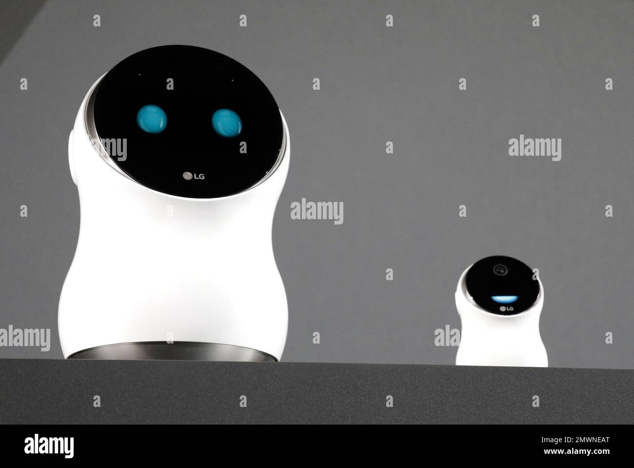 The LG Hub Robot & Mini are unveiled during an LG news conference ...