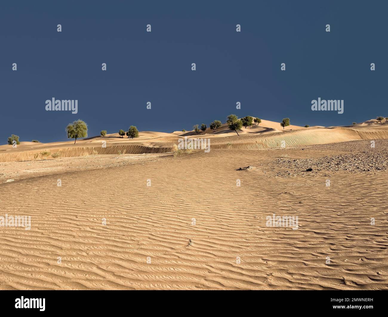 A view of the deserted area Stock Photo - Alamy