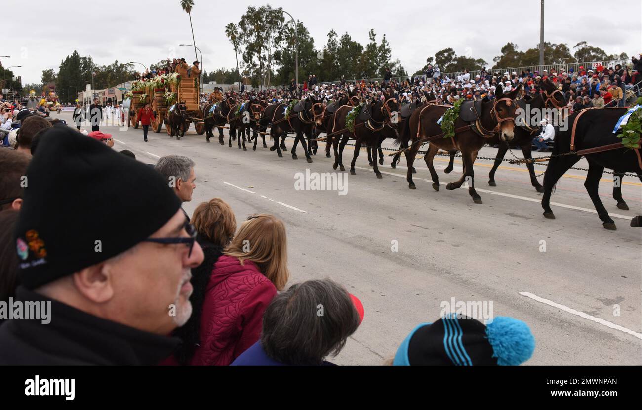 Tournament of Roses President Brad Ratliff, and family are be pulled ...