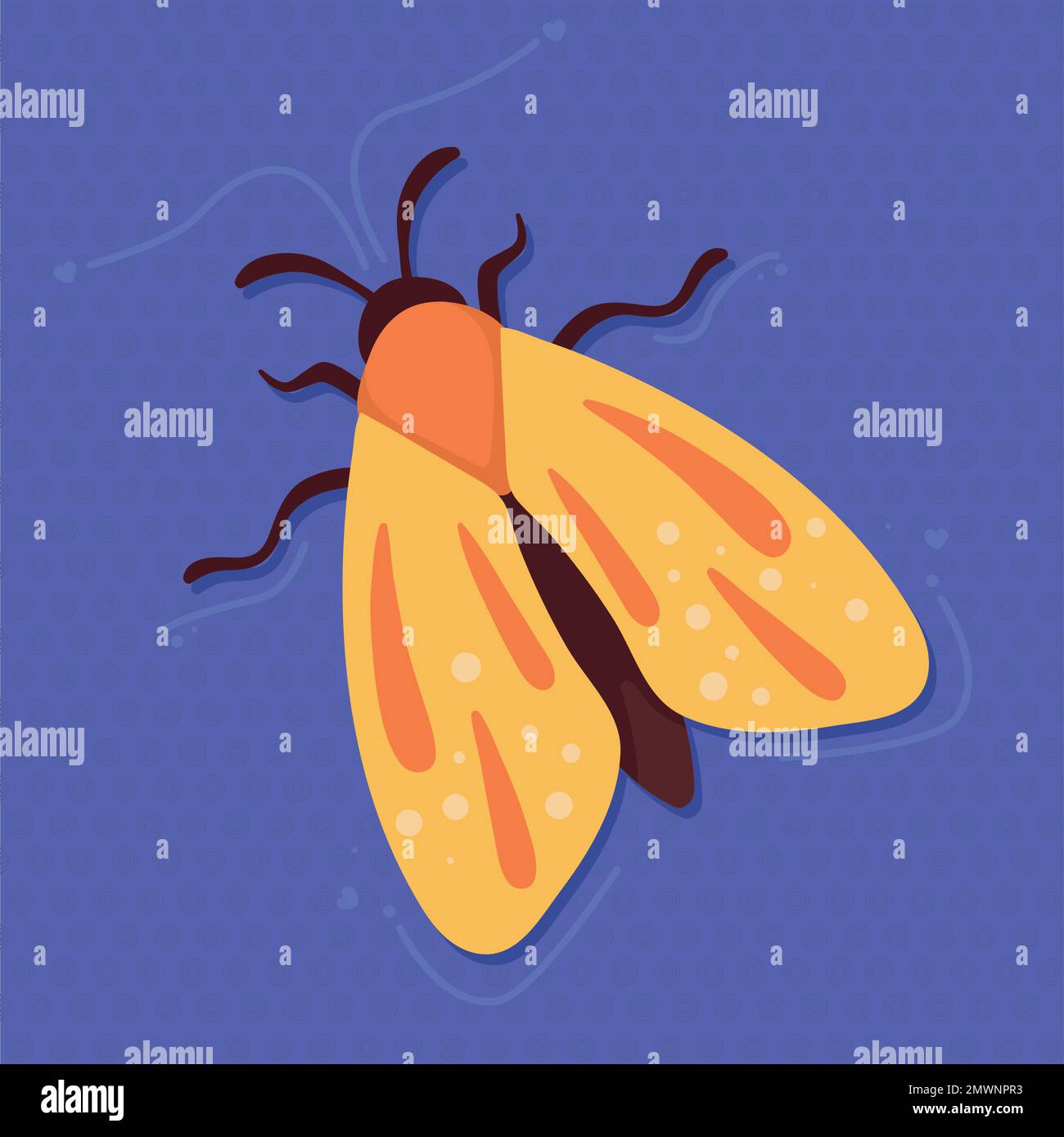 Domestic moth Stock Vector Images - Alamy