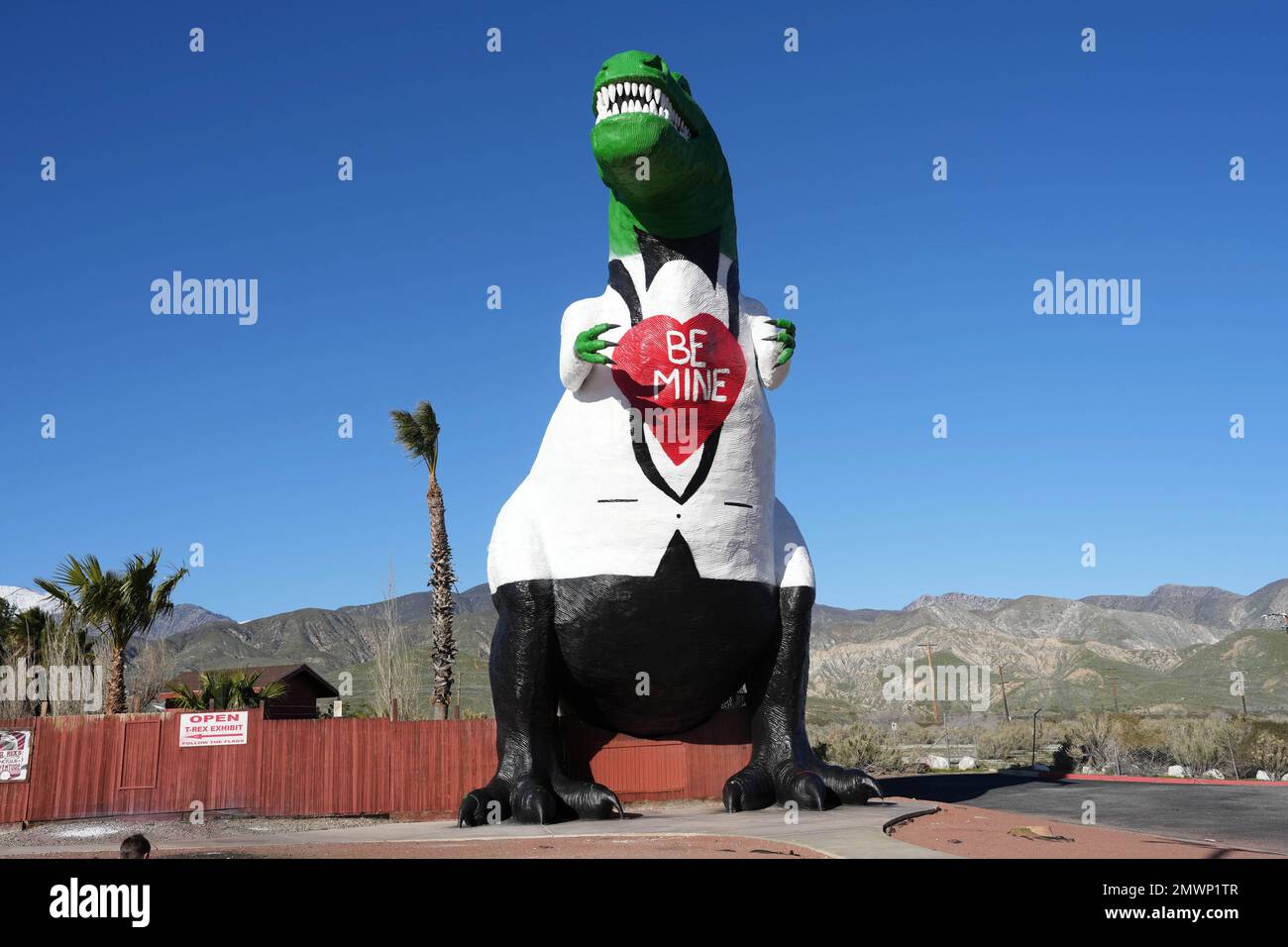 Cabazon, United States. 01st Feb, 2023. Mr. Rex, a Tyrannosaurus rex ...