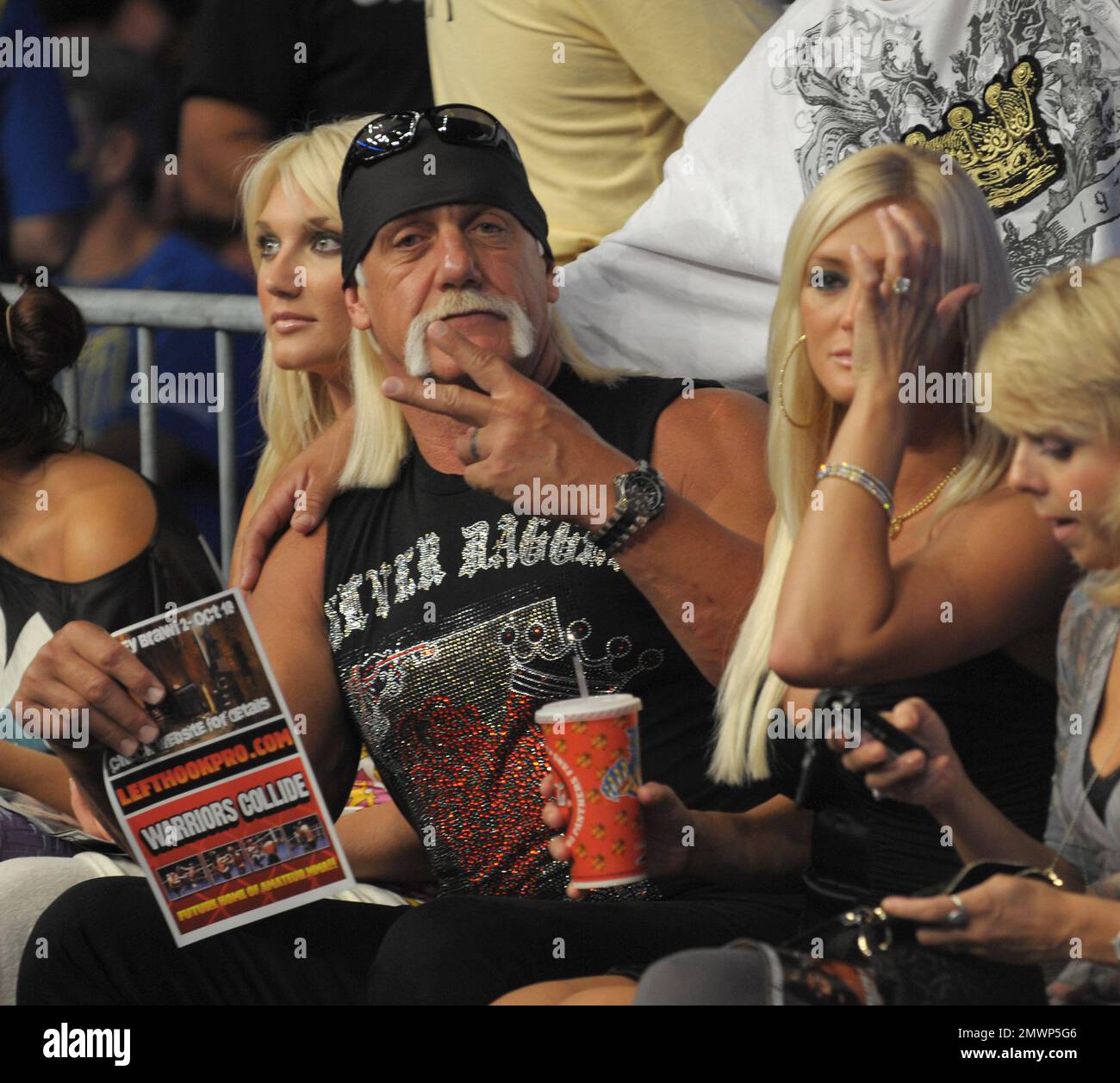 SUNRISE - FL - OCTOBER 04: (EXCLUSIVE COVERAGE) is the Hulk AKA Terry ...