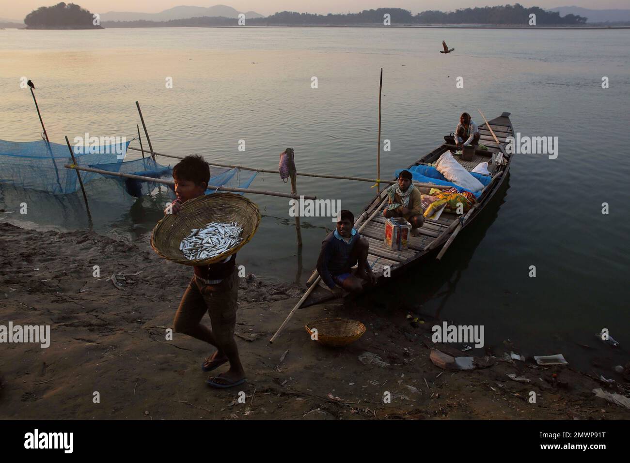 A boy carries a basket of small fish from a boat in the river ...