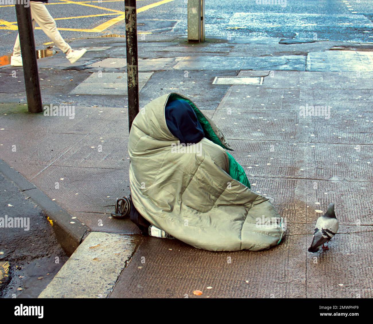 homeless person begging on the street Stock Photo - Alamy