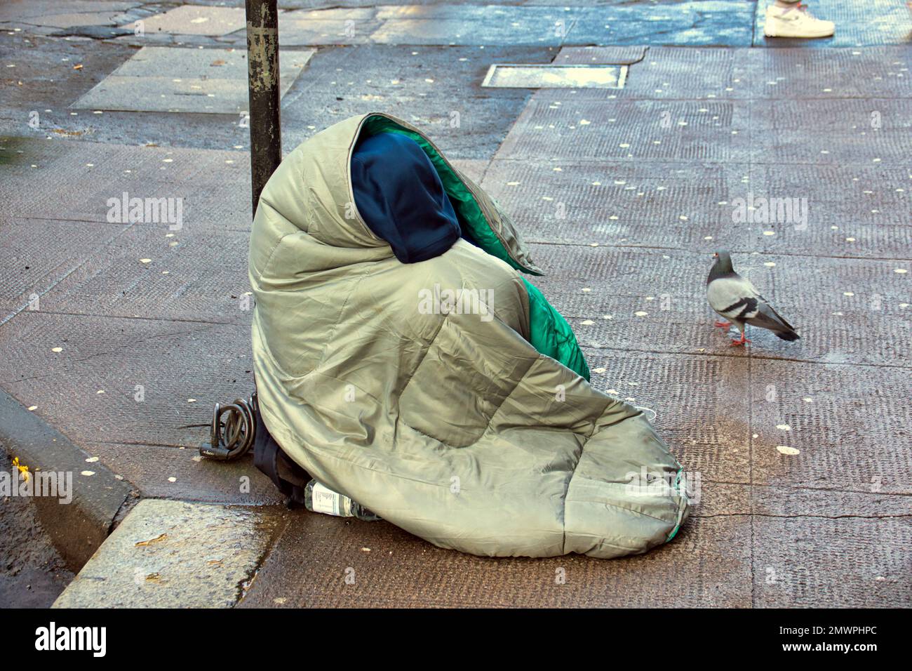 homeless person begging on the street Stock Photo - Alamy