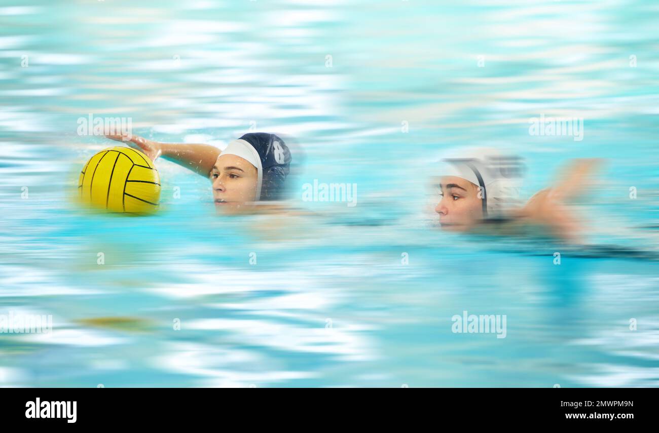 Water sports, polo and athlete swimming with a ball for a competition ...