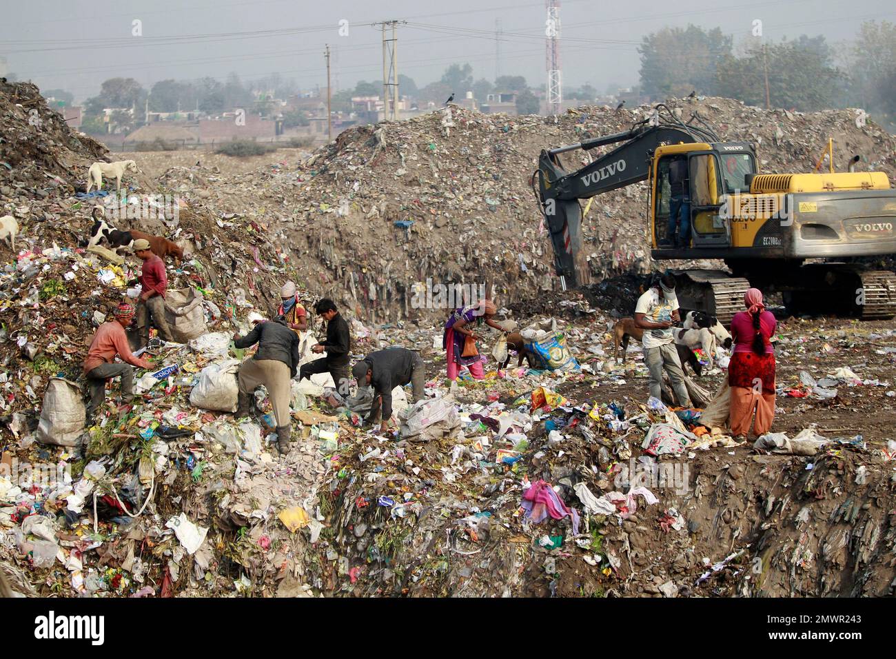 Indian rag-pickers collect reusable material from a garbage dump on the ...