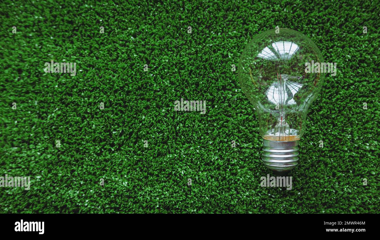 Top view of Light bulb on the green grass.The concept of energy saving ...