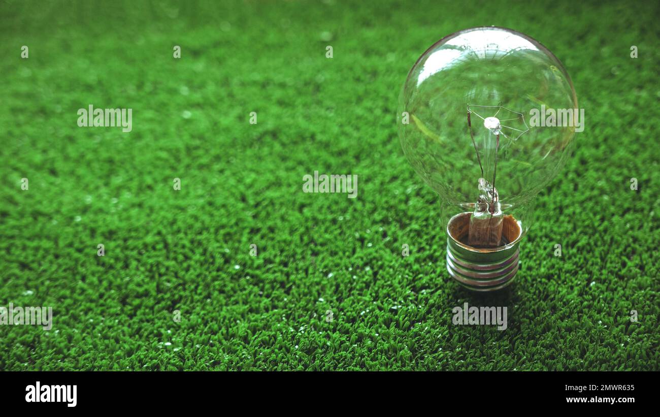 Light bulb on the green grass.The concept of energy saving, renewable ...