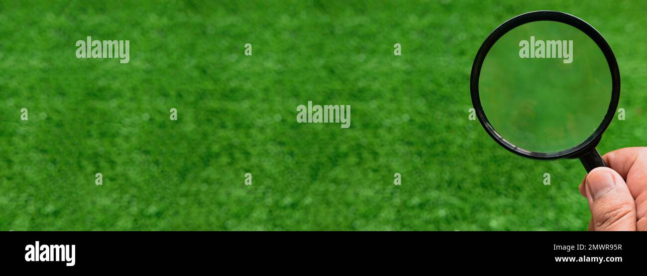 Magnifier in hand, panoramic mock-up image over a green grass ...