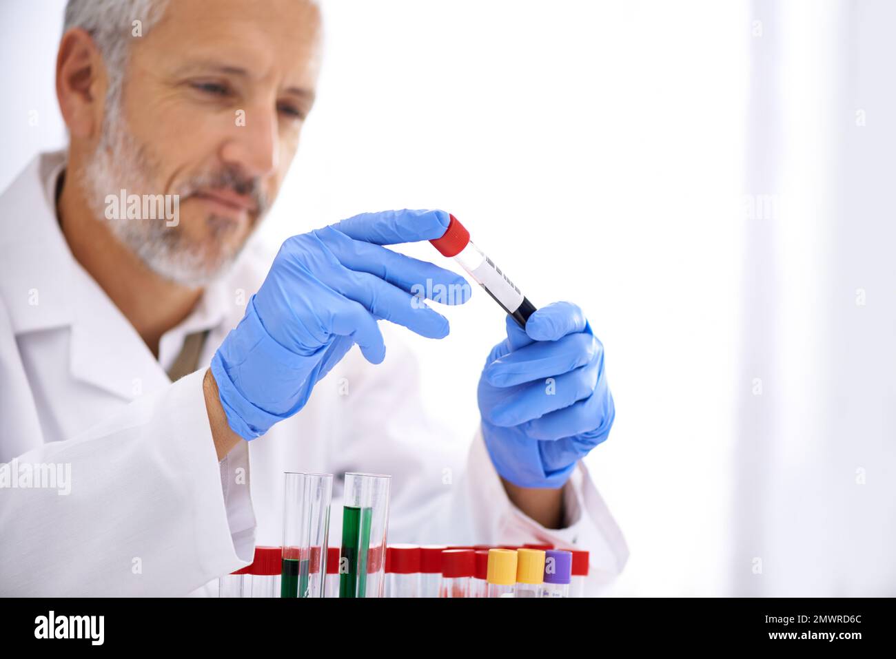 Research that will save lives. a mature male scientist conducting lab ...