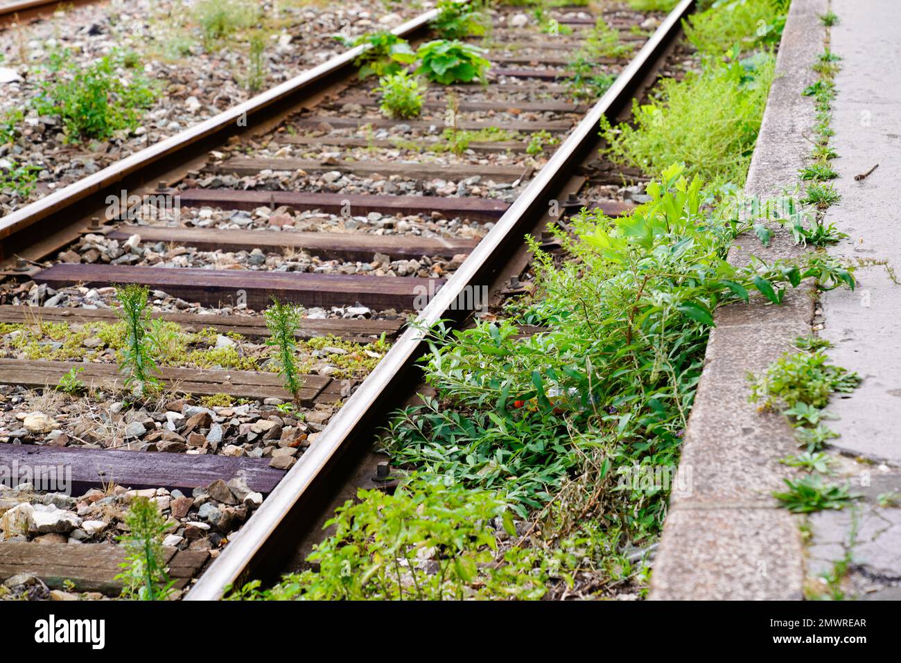 Forgotten rails hi-res stock photography and images - Alamy