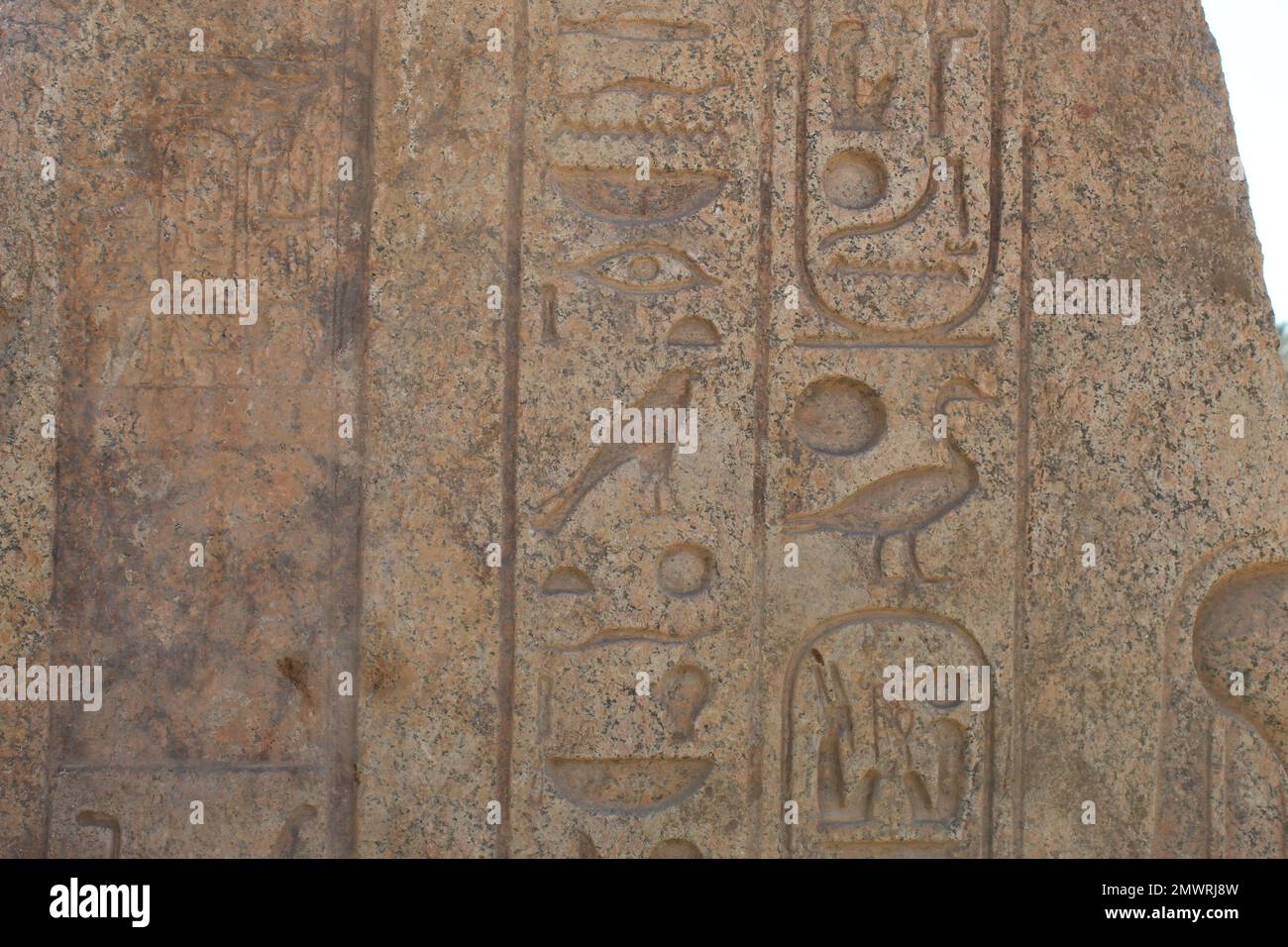 Hieroglyphic writing. Mit Rahina Open Air Museum. Memphis. Egypt Stock ...