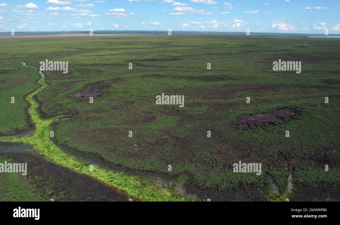 An aerial view shows part of Gorongosa National Park in Mozambique ...