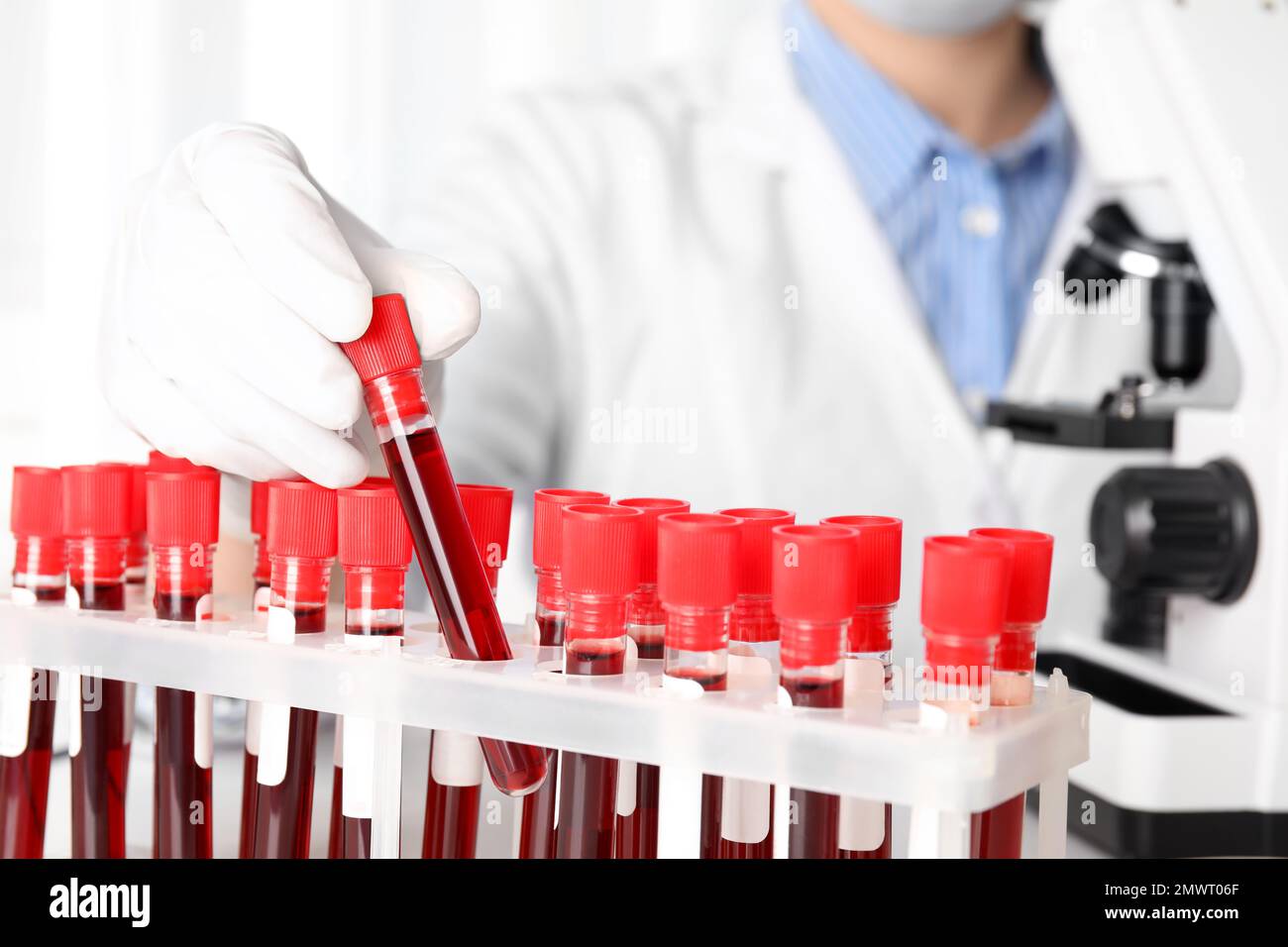 Scientist taking test tube with blood sample from rack in laboratory ...