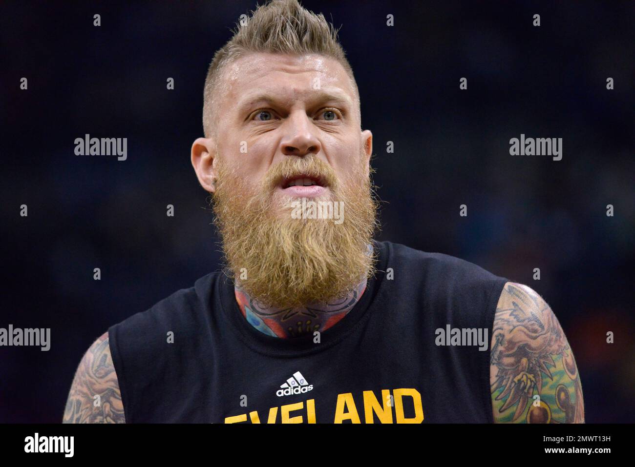 Birdman Heat Beard
