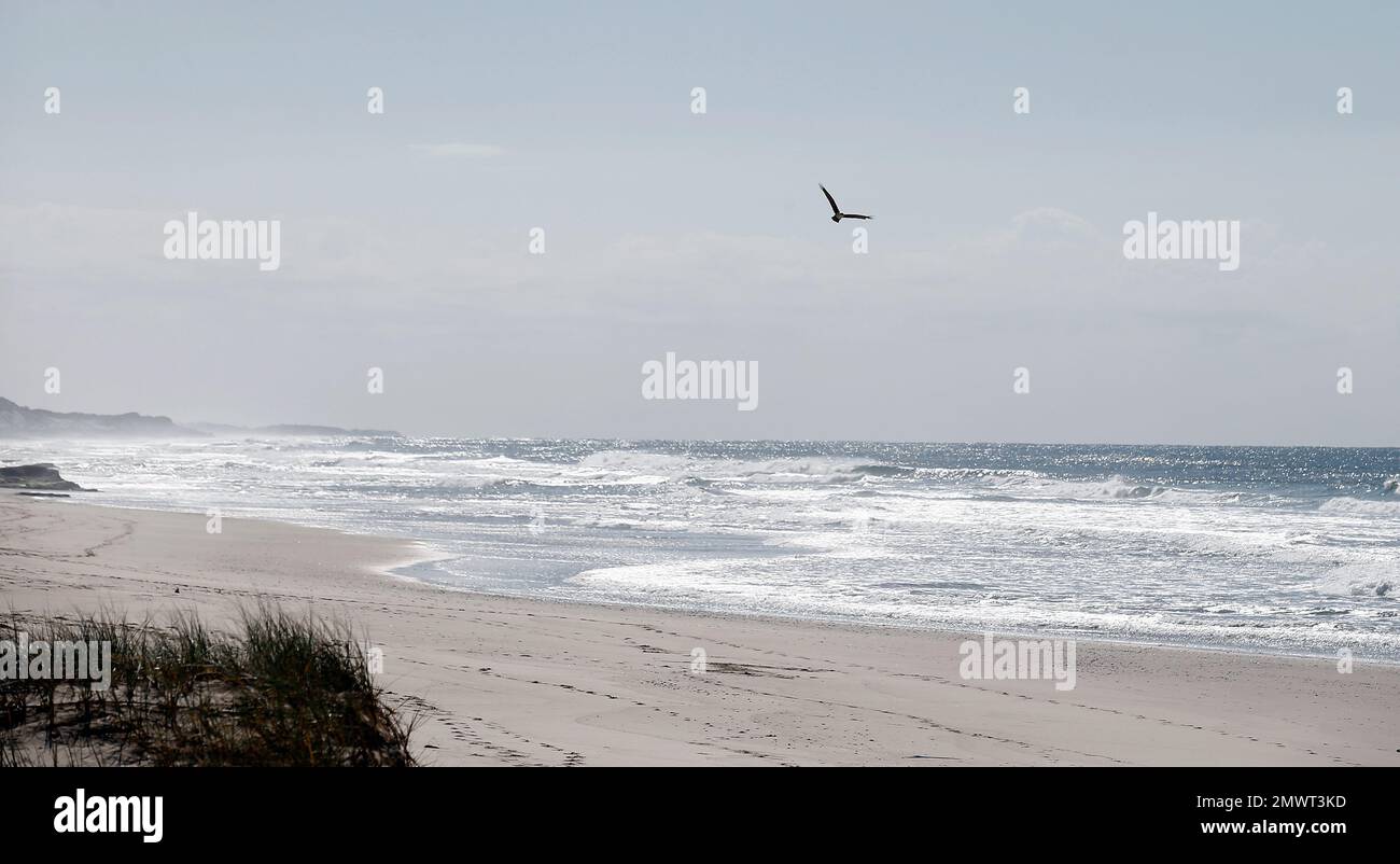 In this Aug. 17, 2016 photo, an eagle flies past a memorial for Lynette ...