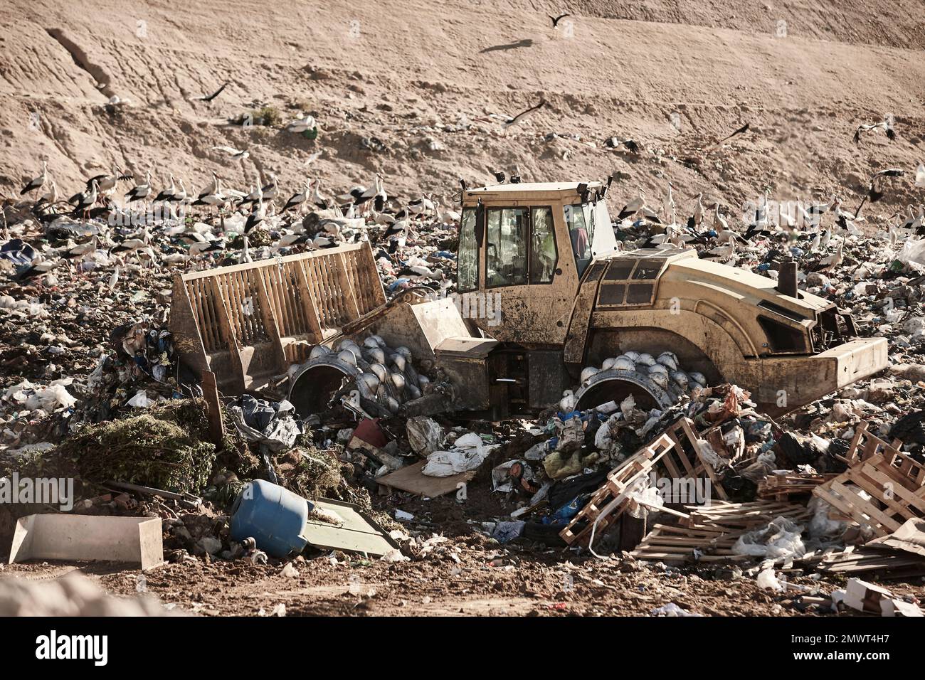 Heavy machinery shredding garbage in an open air landfill. Waste Stock ...