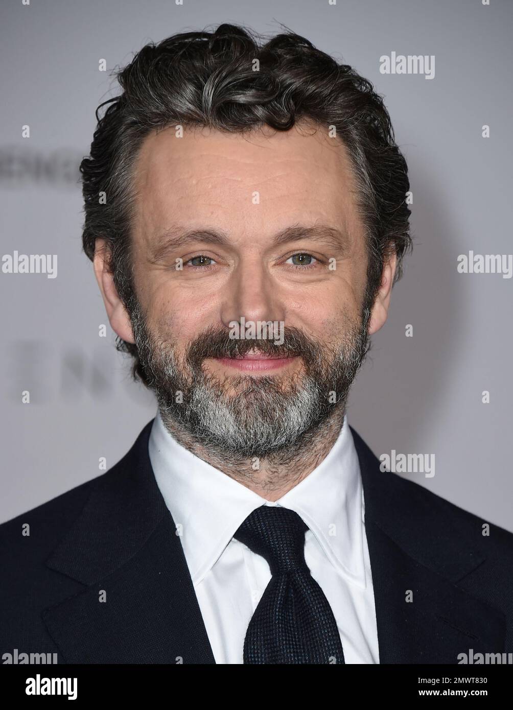 Michael Sheen arrives at the Los Angeles premiere of "Passengers" at ...