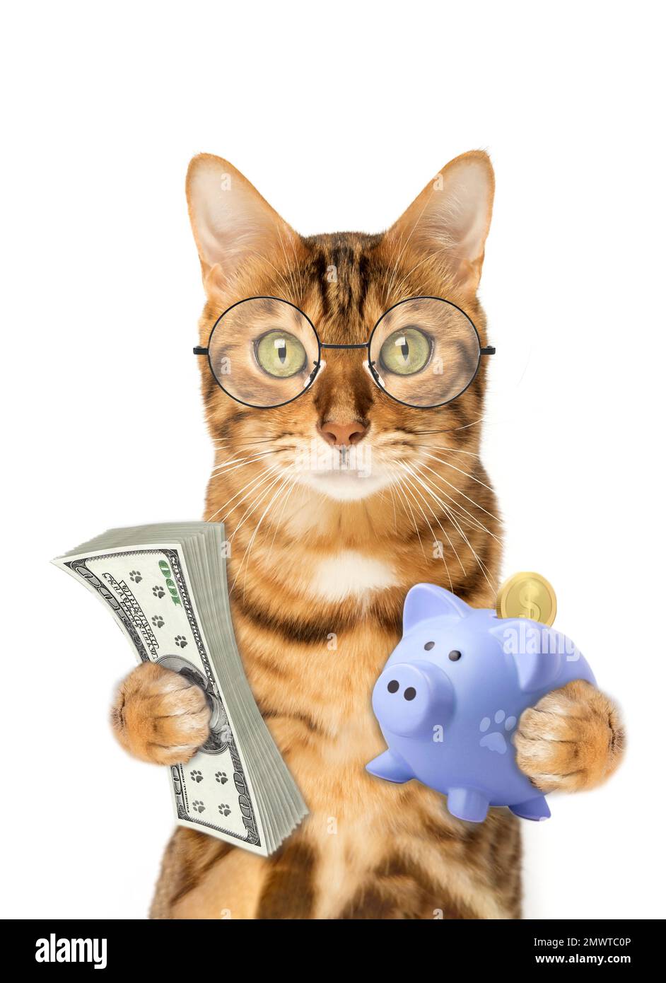 Animals Holding Money