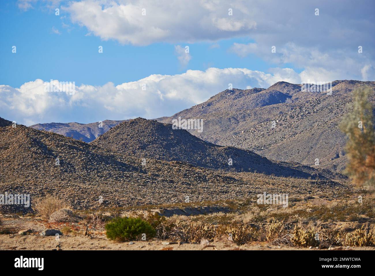 Californian desert - Anza-Borrego. Anza-Borrego Desert State Park ...
