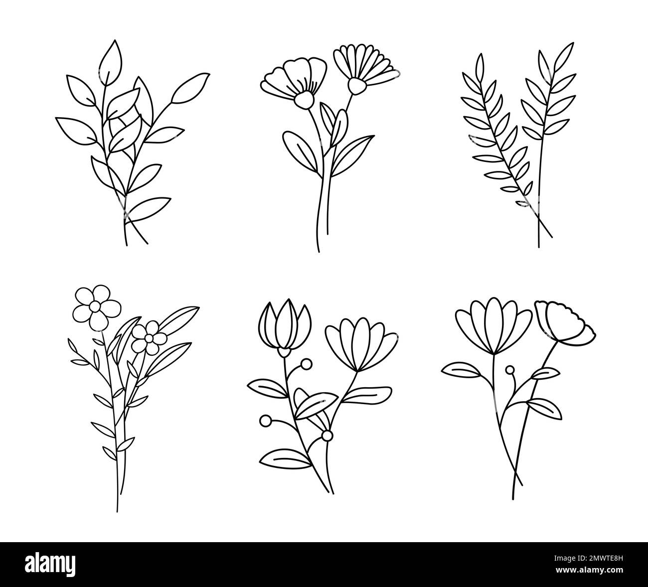 Floral branch set. Hand drawn with leaves and flowers on white ...