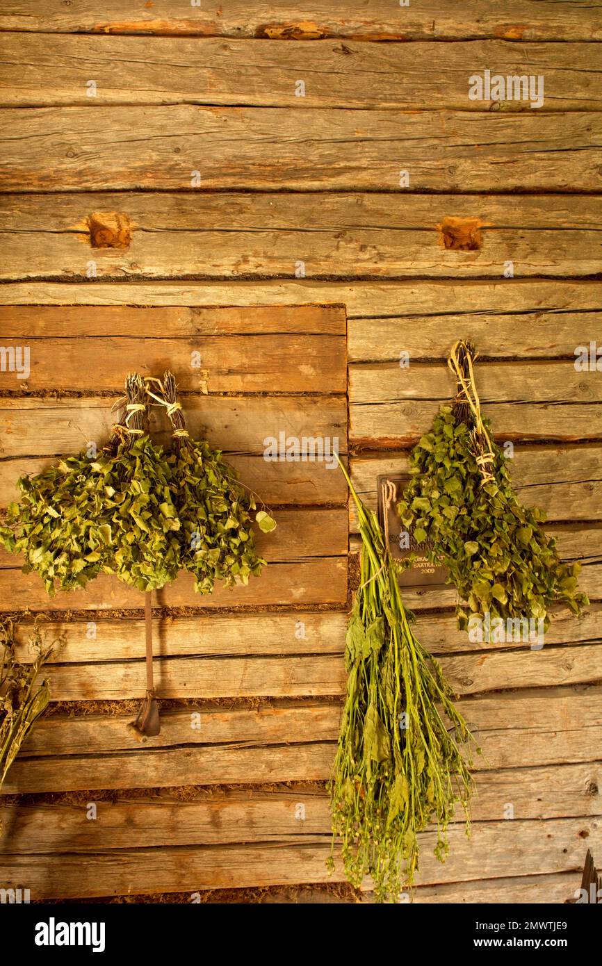 Traditional bath whisks hanging on wooden wall Stock Photo - Alamy