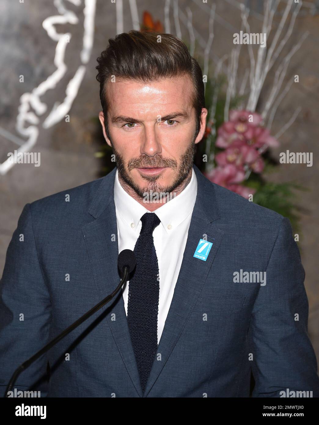 UNICEF Goodwill Ambassador David Beckham speaks at the Empire State ...
