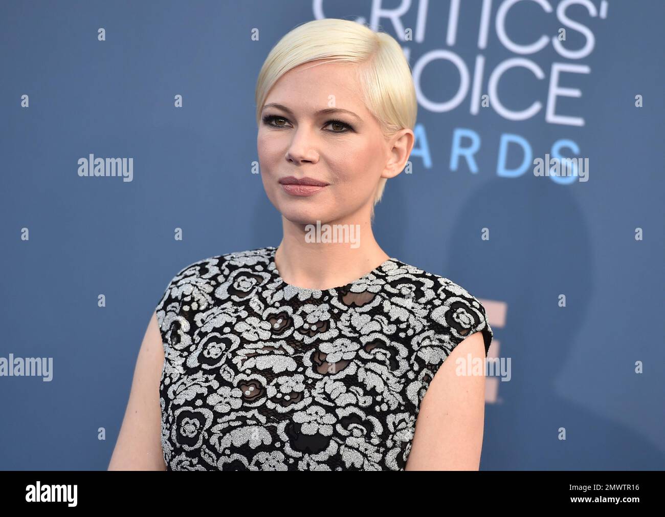 Michelle Williams arrives at the 22nd annual Critics' Choice Awards at ...