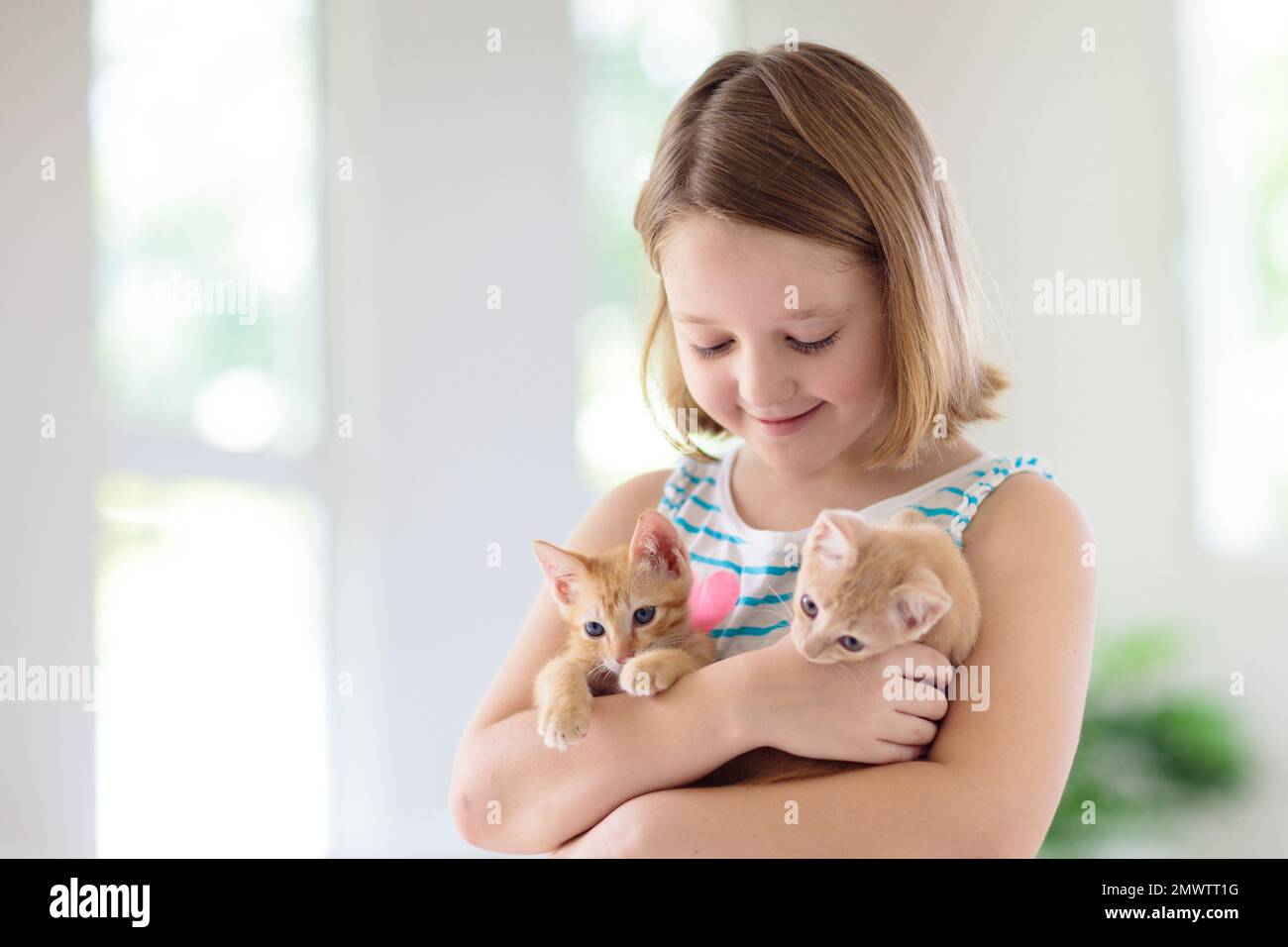 Child holding baby cat. Kids and pets. Little girl hugging cute little ...
