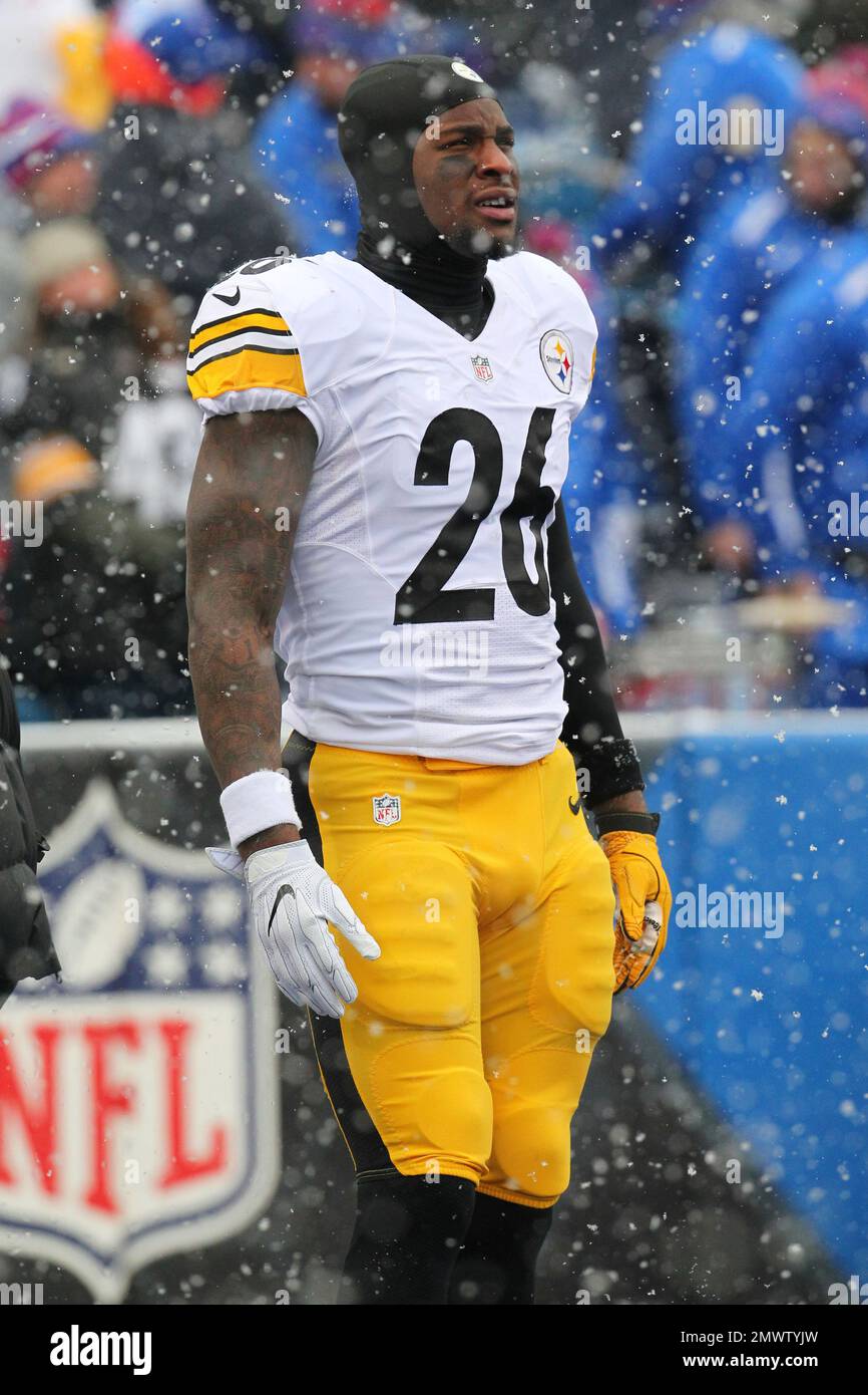 Pittsburgh Steelers running back Le'Veon Bell looks on during the first ...
