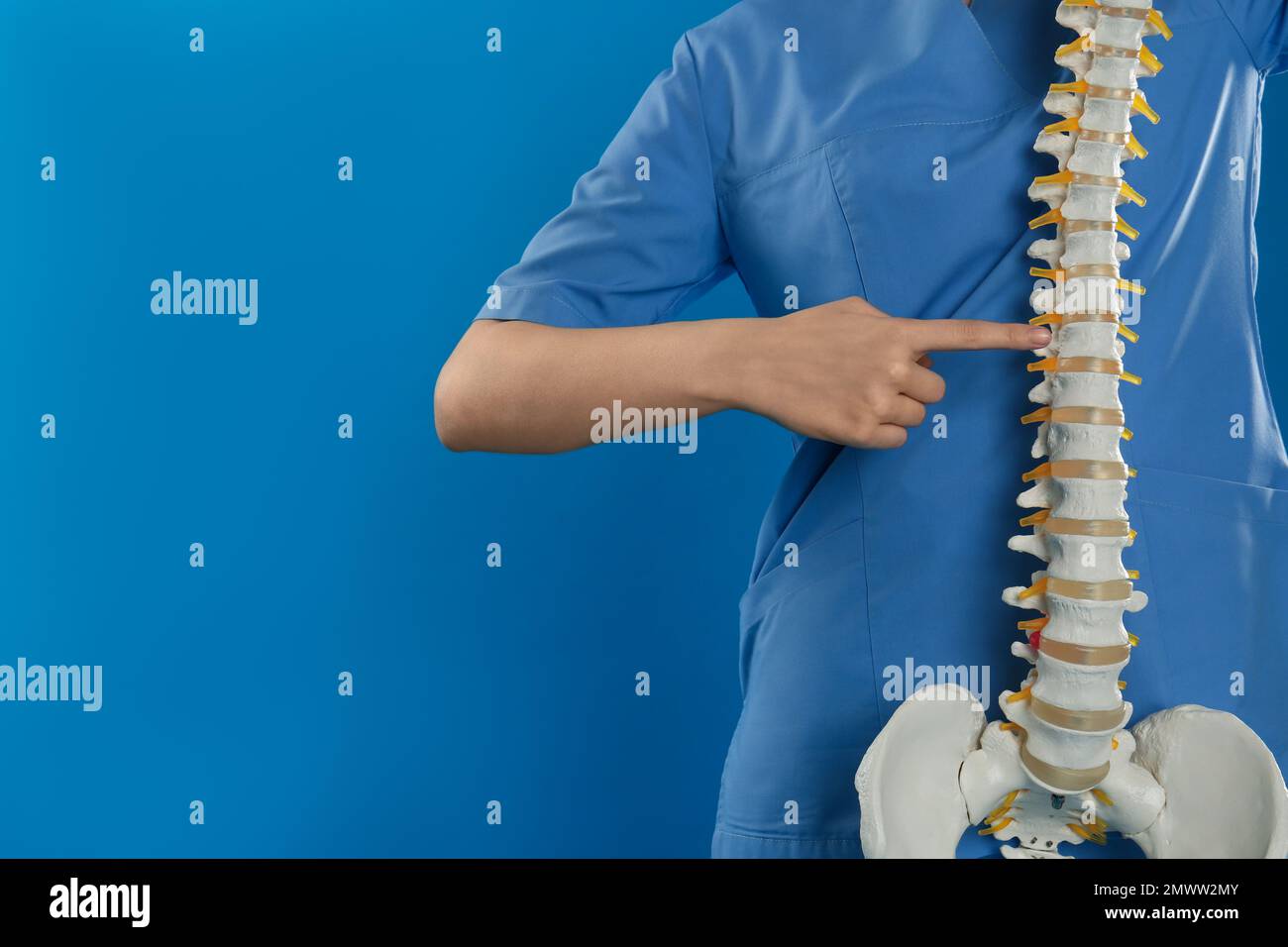 Female orthopedist with human spine model against blue background ...