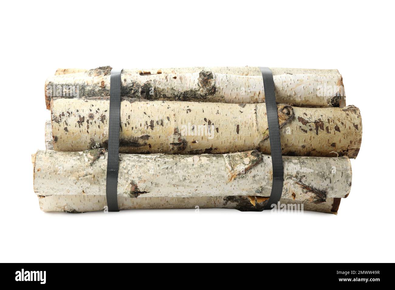 Modern house isolated forest Cut Out Stock Images & Pictures - Alamy