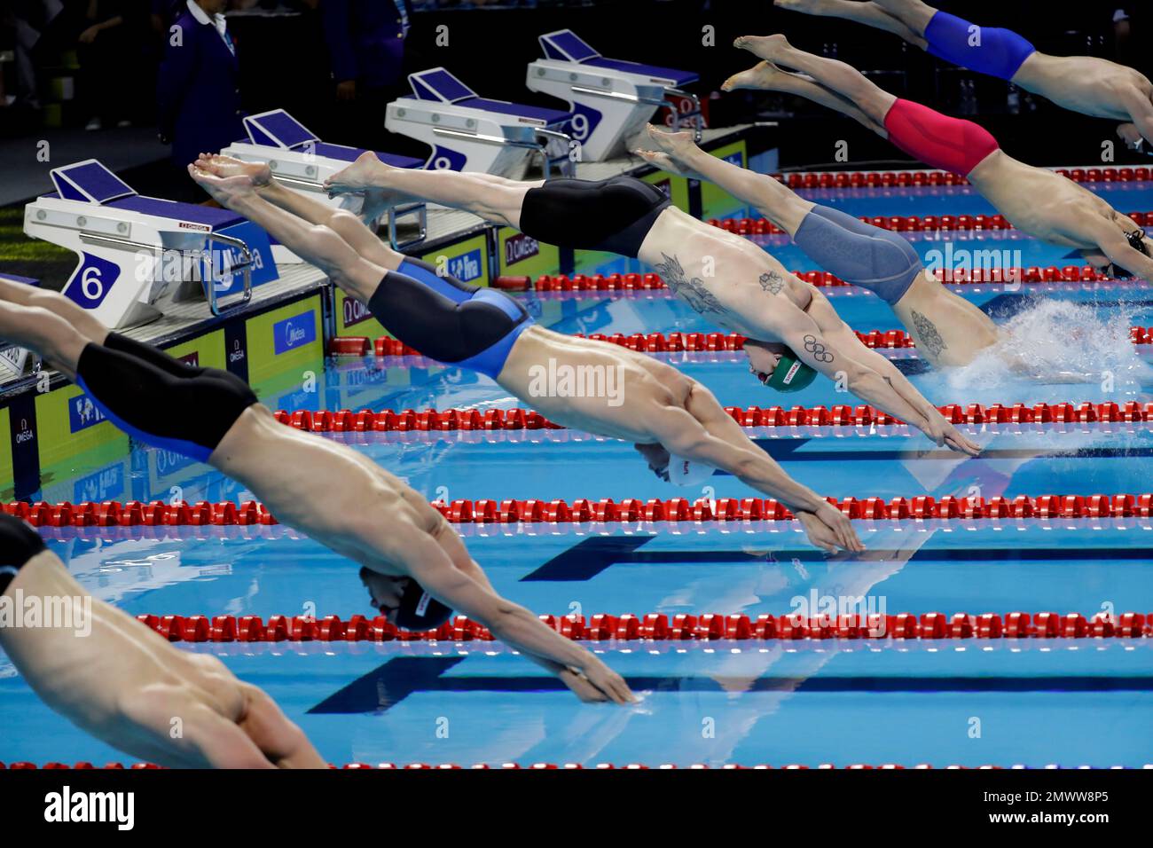 Swimmers dive into the pool at the start of the men's 50-meter ...