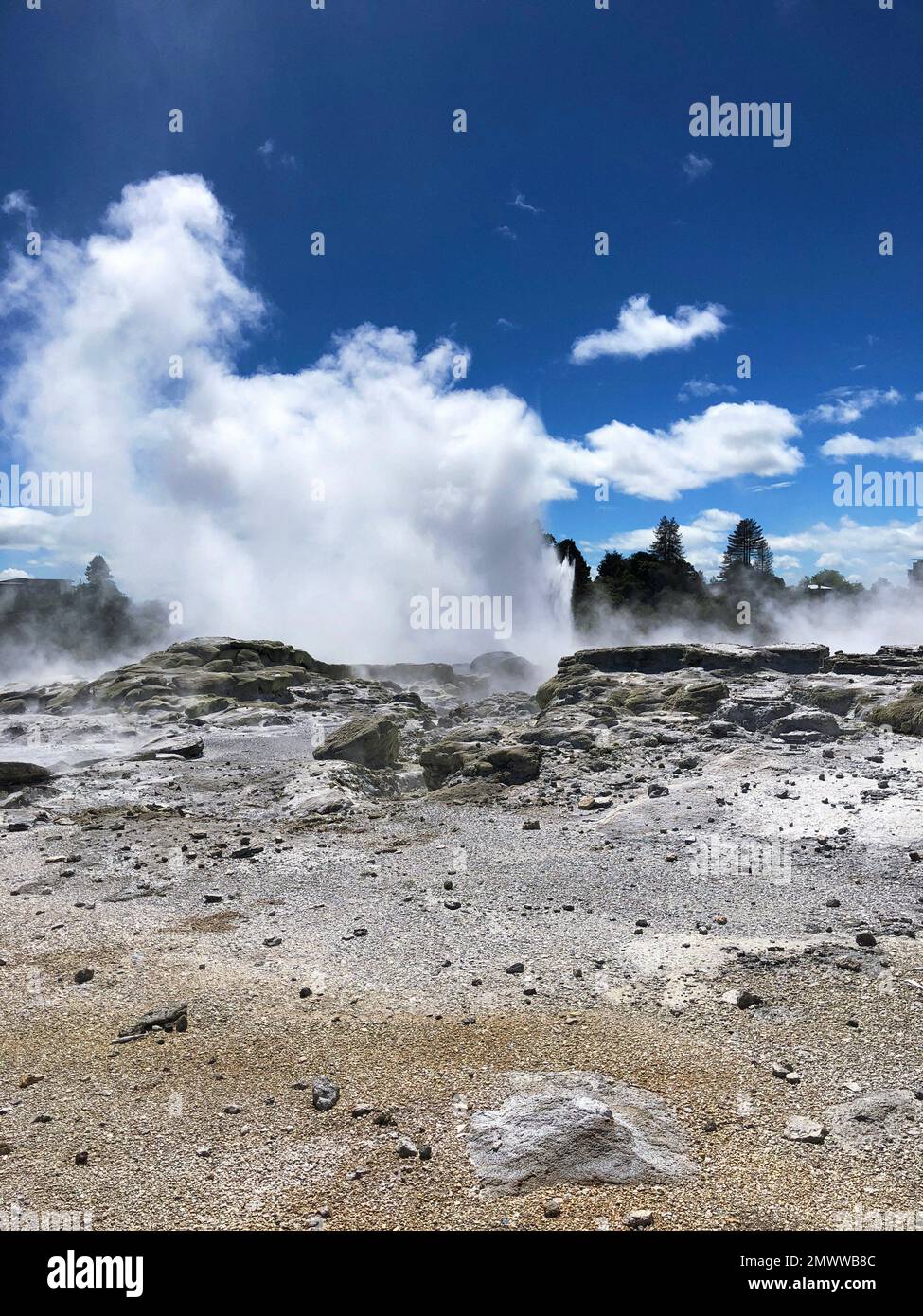 Geothermal activity new zealand hi-res stock photography and images - Alamy