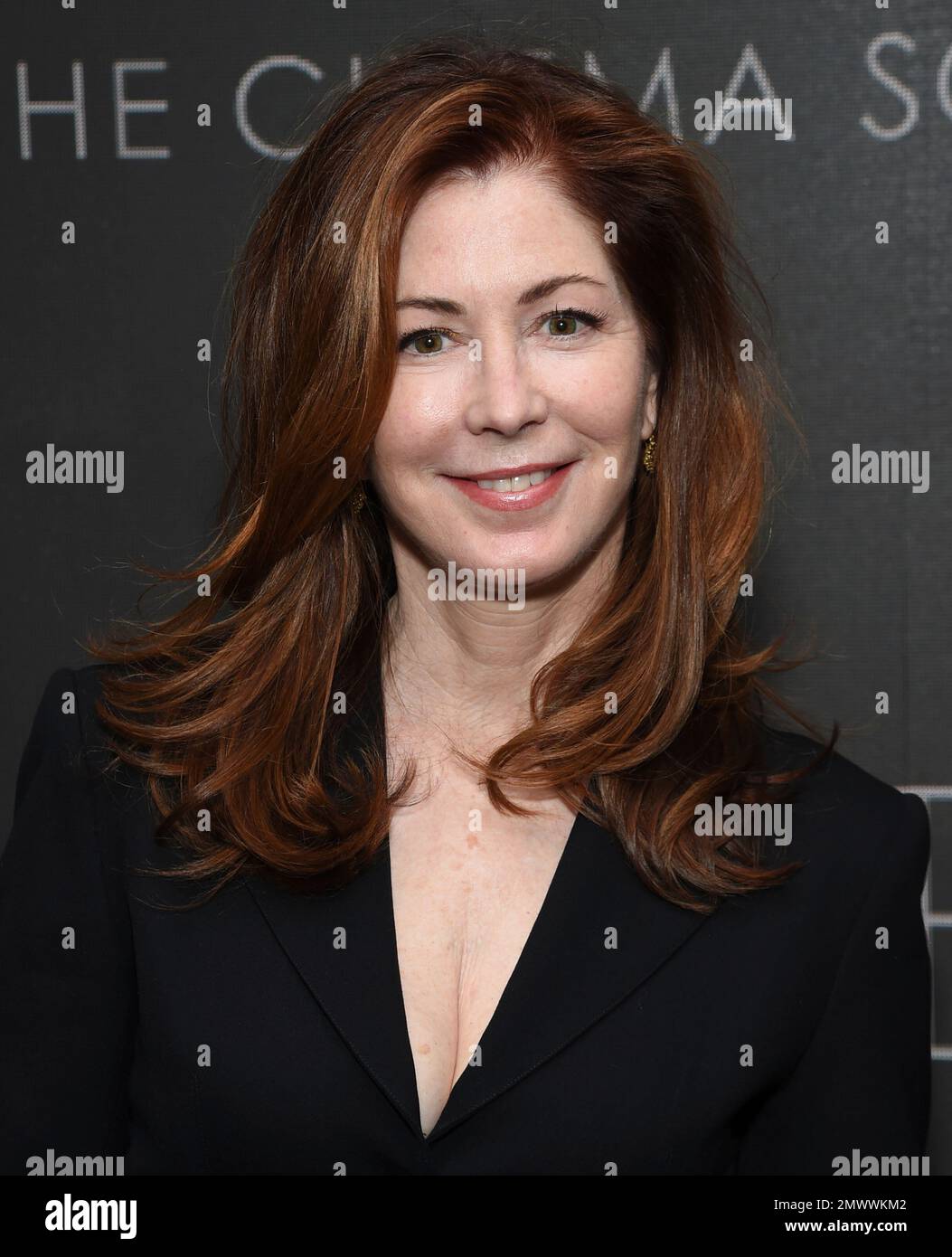 Actress Dana Delany attends a special screening of "Miss Sloane ...
