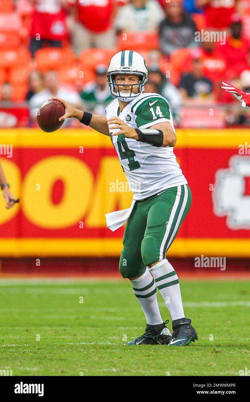 New York Jets quarterback Ryan Fitzpatrick (14) throws a pass during an ...