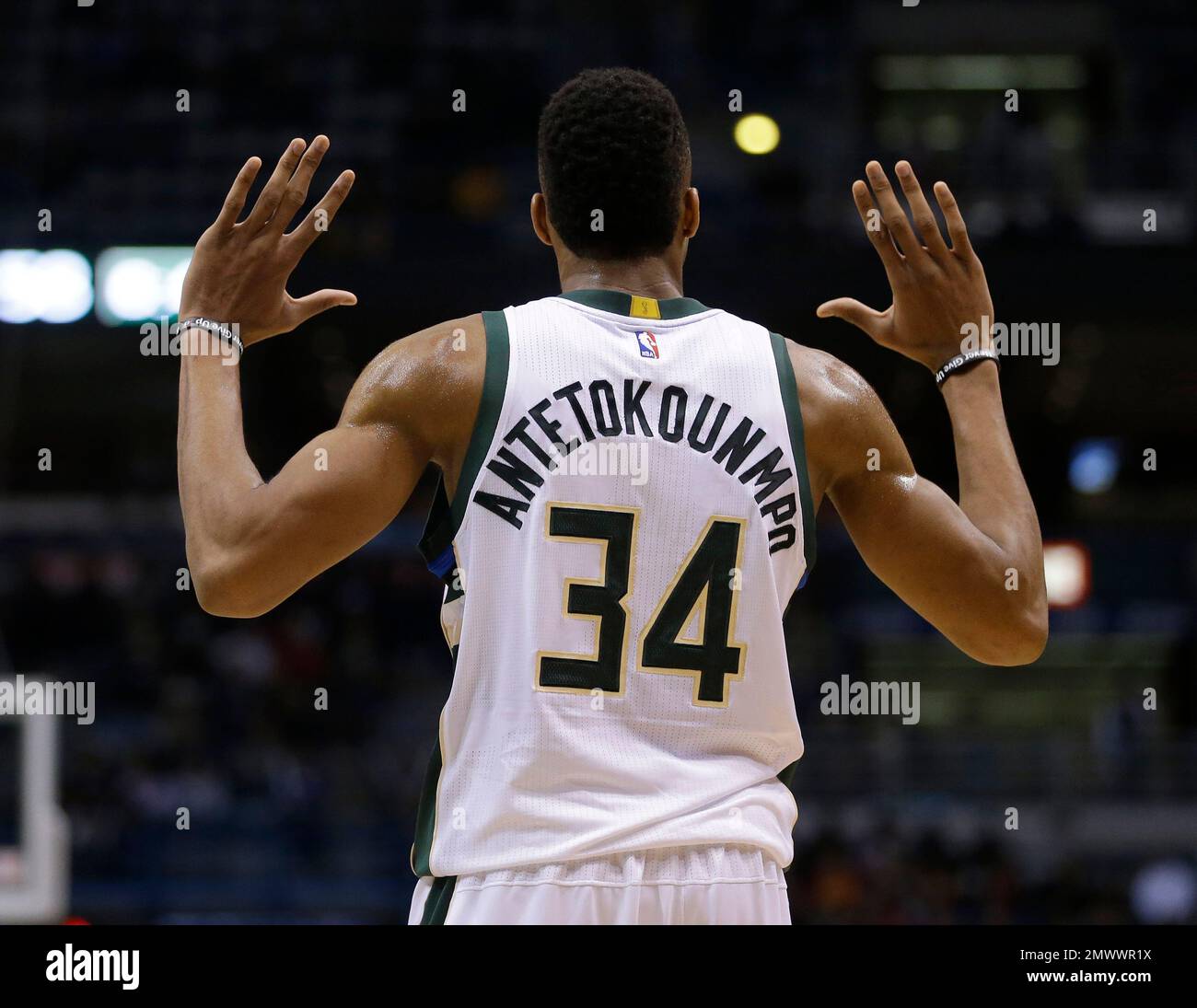 Giannis Antetokounmpo Hands Inches