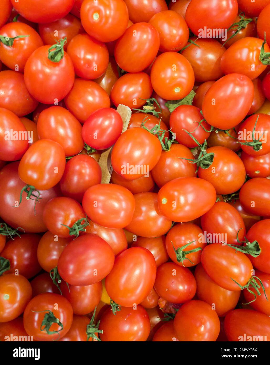 Vegetables in a supermarket. Tomatoes Stock Photo - Alamy