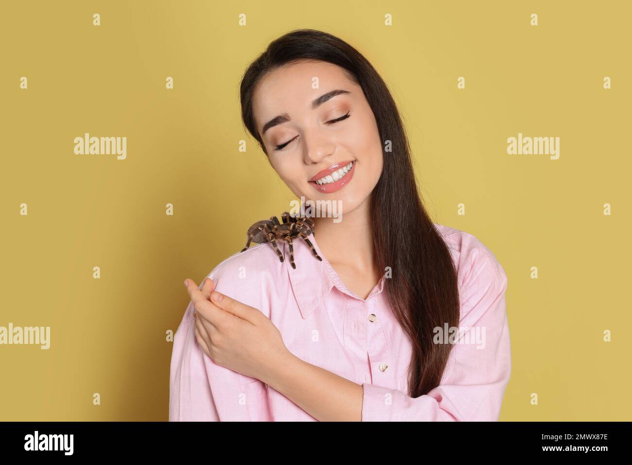 Woman holding striped knee tarantula on yellow background. Exotic pet ...