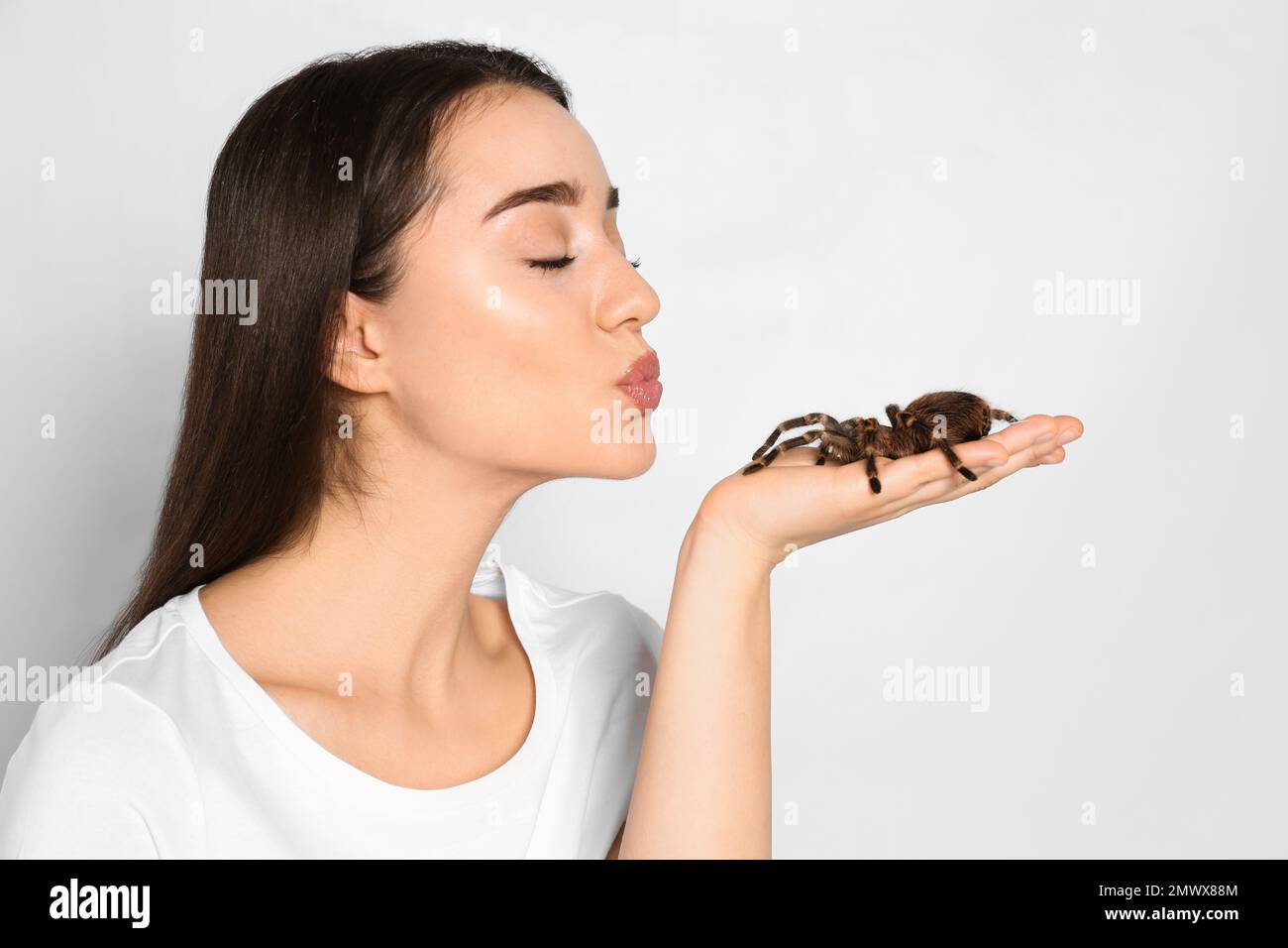 Woman holding striped knee tarantula on light background. Exotic pet ...