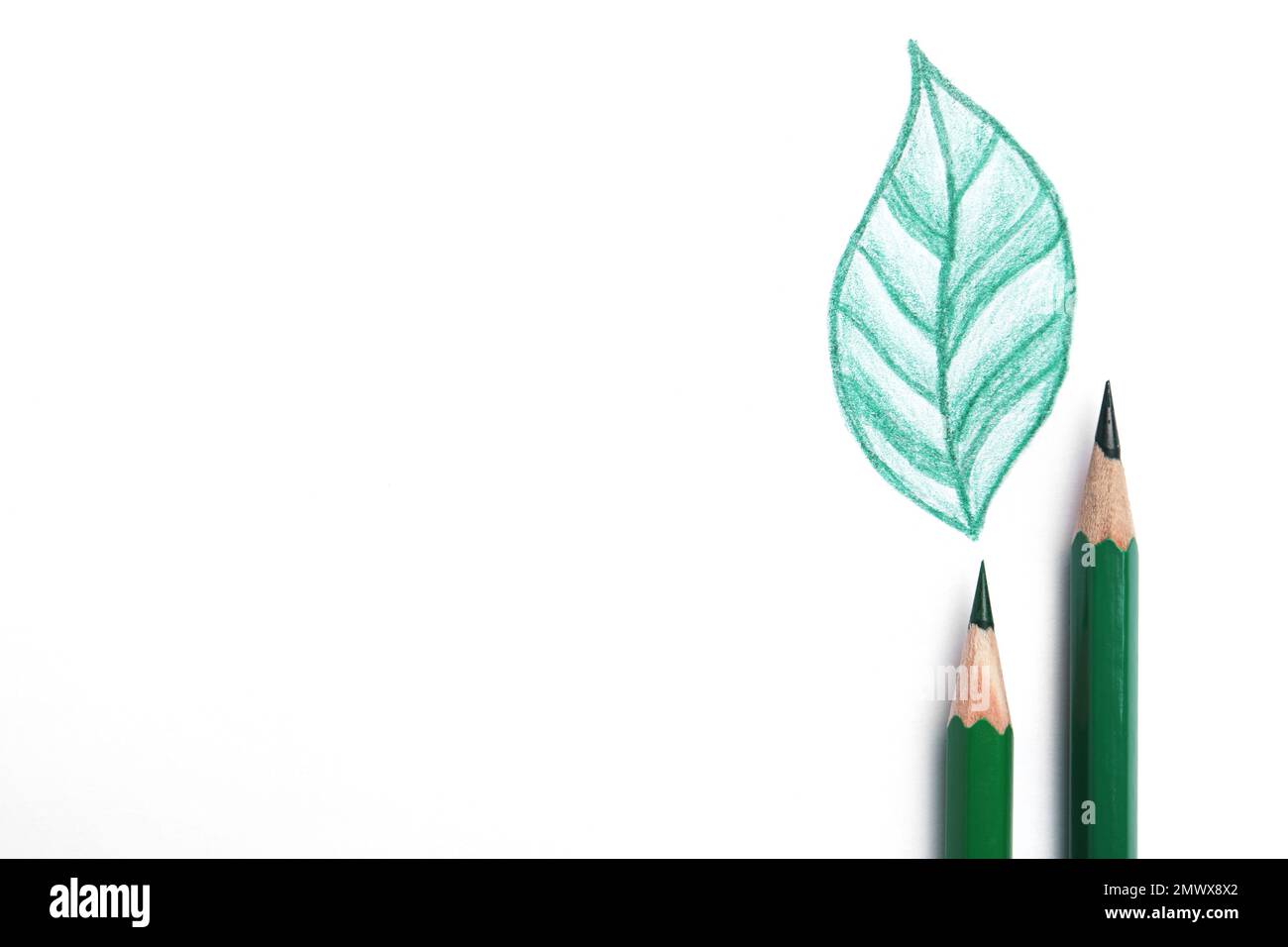 Drawing of green leaf and color pencils on white background, top view ...