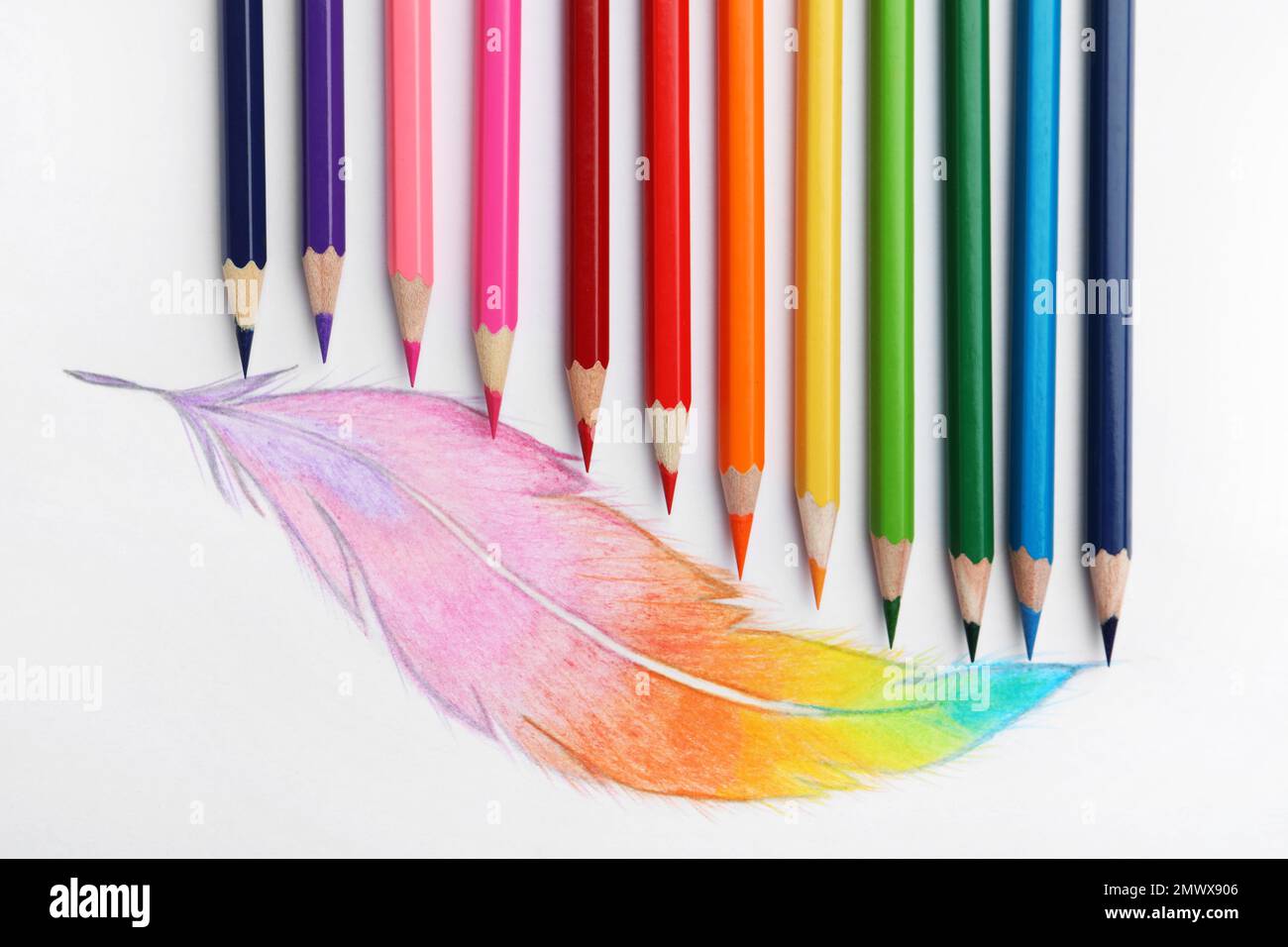 Drawing of feather and colorful pencils on white background, top view ...